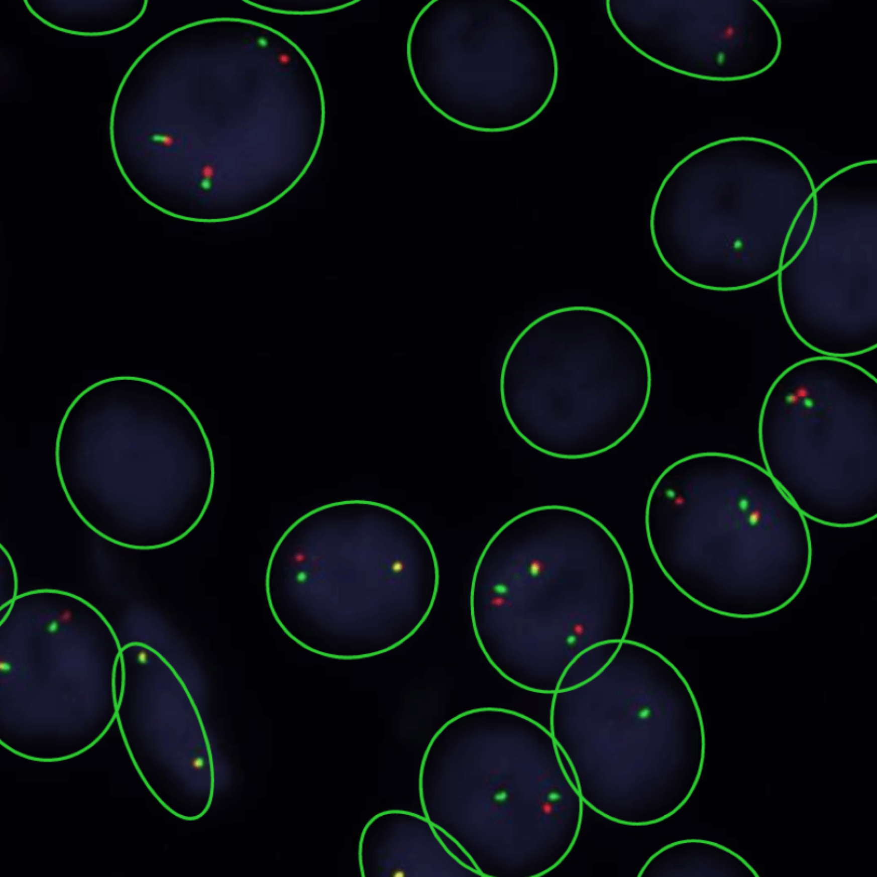 Images – Medical – Vy Corporation